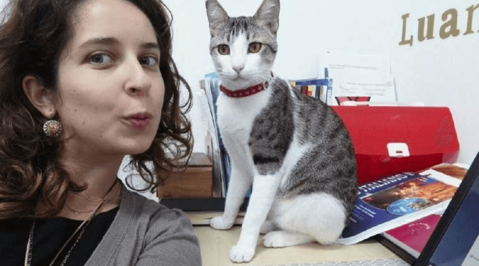 So, Should You Be Bringing Your Cat To Work? | Hive