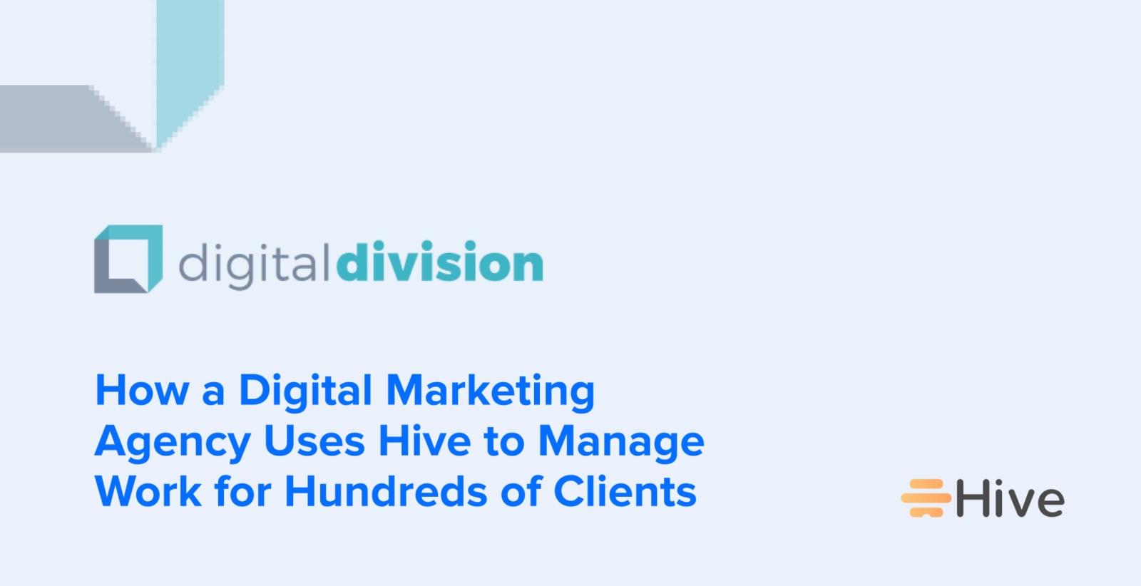 Managing of Hundreds of Clients in Digital Marketing | Hive